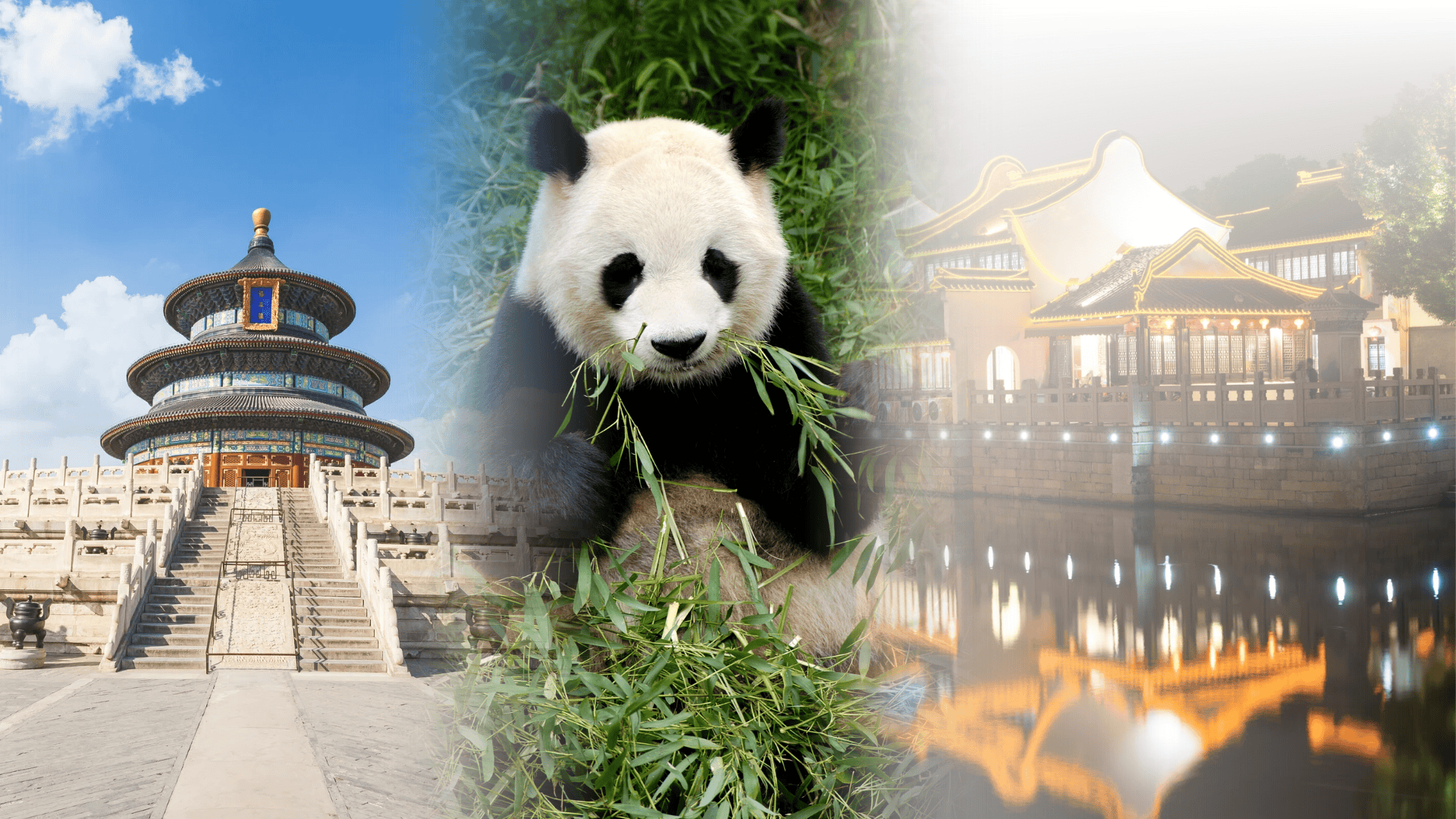 EtonHouse China Immersion Programme